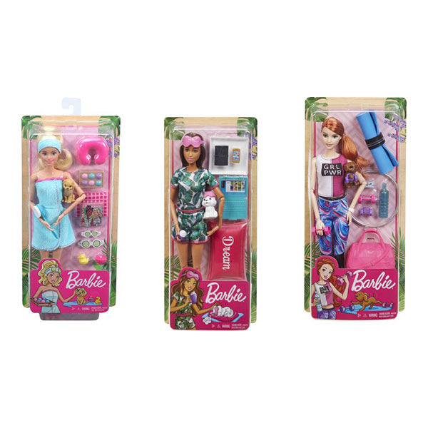 BARBIE WELLNESS – ΗΜΕΡΑ ΟΜΟΡΦΙΑΣ (3 ΣΧΕΔΙΑ) GKH73 – King of Toys Online ...